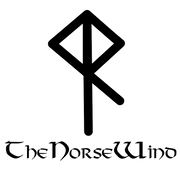 Viking Runes Health Amulet | Norse Healing Talisman - TheNorseWind ...