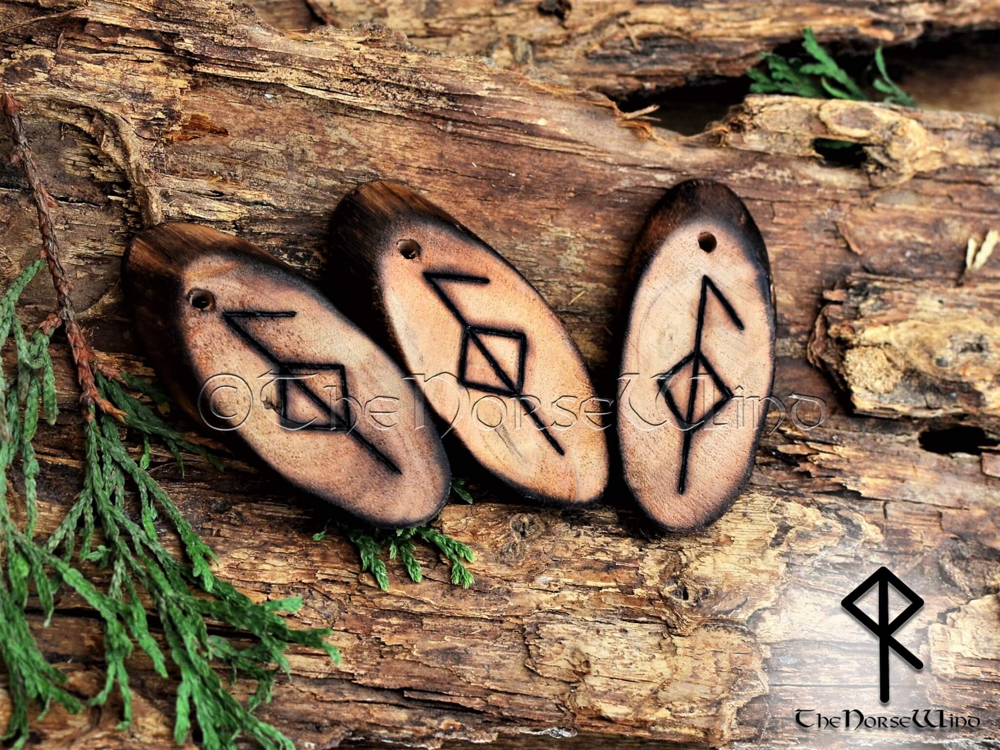 Viking Runes Health Amulet | Norse Healing Talisman - TheNorseWind