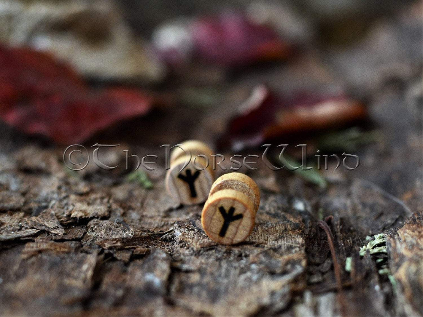 Viking Runes Earrings | Wooden Ear Plugs | Rune Gauges - TheNorseWind ...