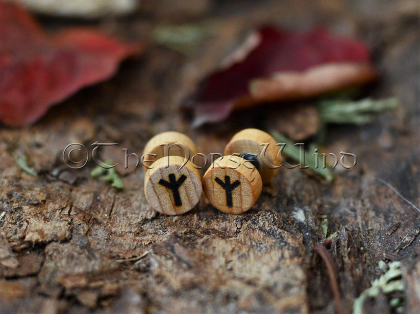 Viking Runes Earrings | Wooden Ear Plugs | Rune Gauges - TheNorseWind ...